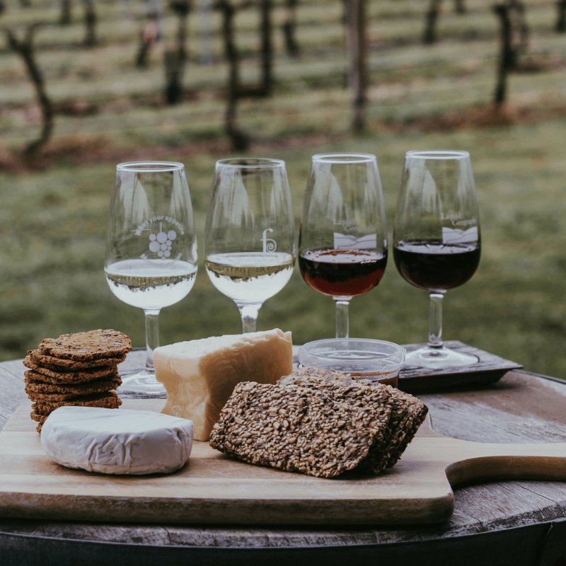 Esplora le eccellenti etichette dei vini siciliani – SICILUS